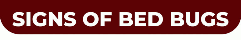 Ultimate Guide for a Bed-Bug-Free Life - Bed Bug Guide